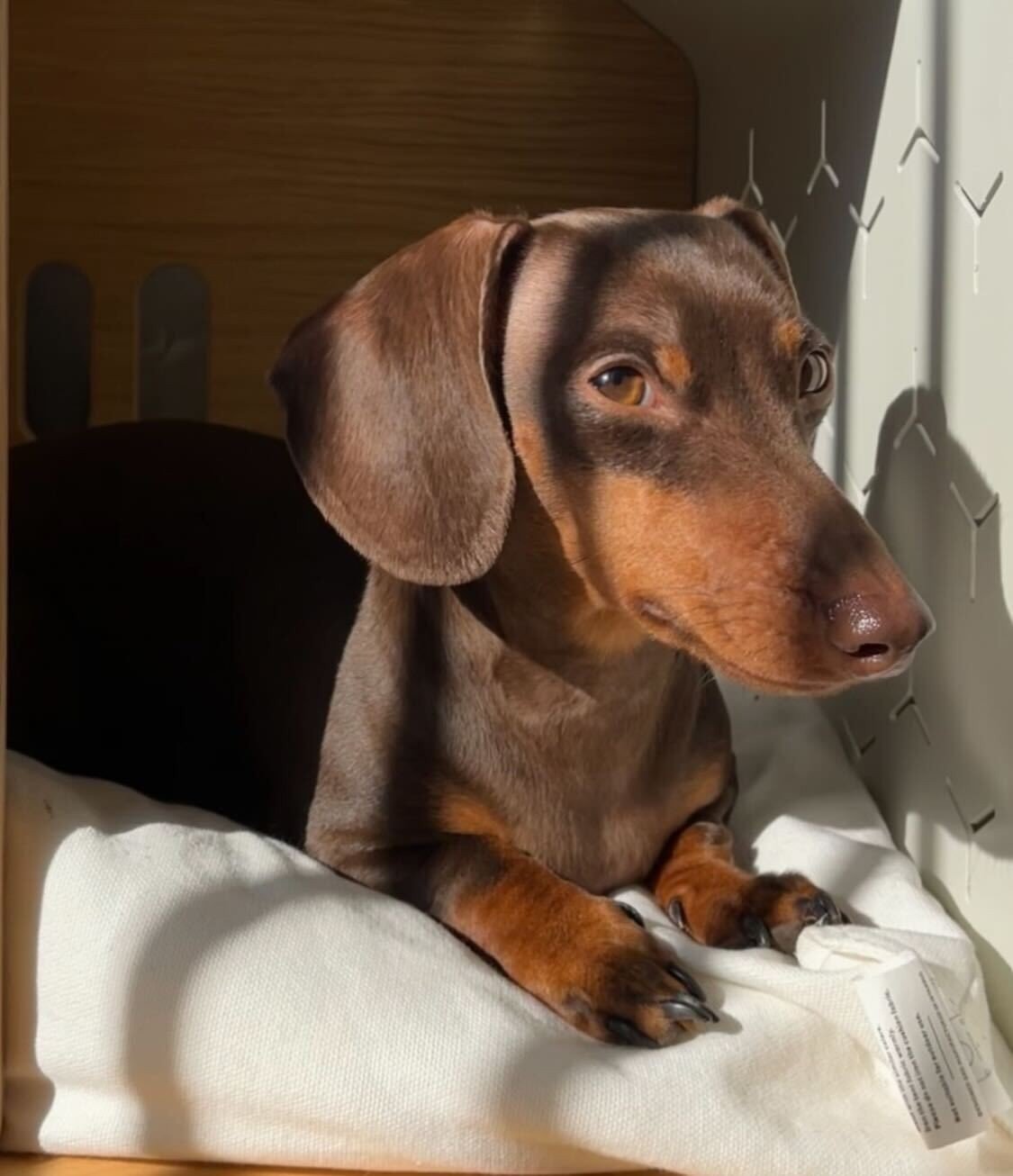 API Overview | Ideogram | Documentation