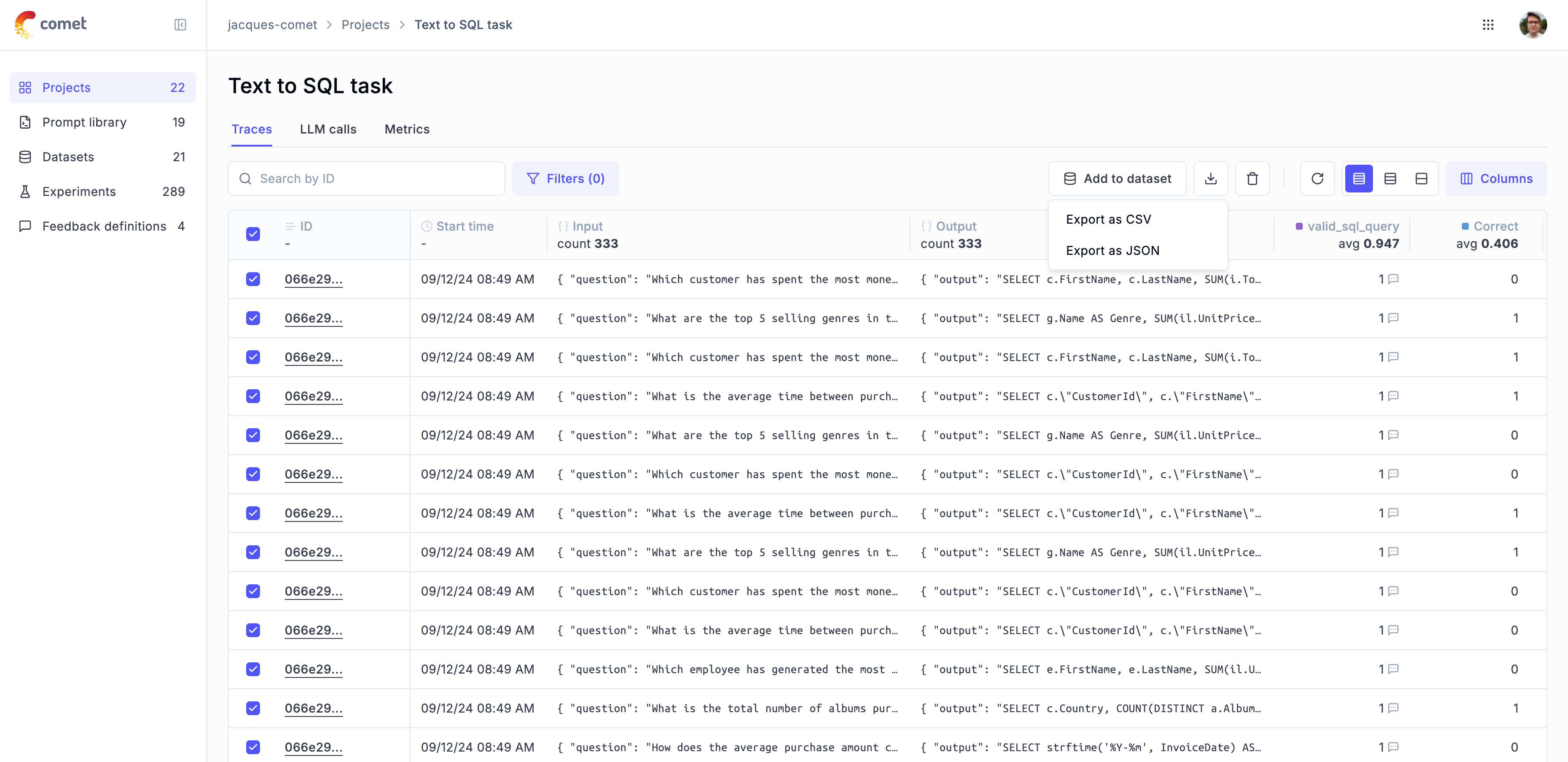 Export data | Opik Documentation