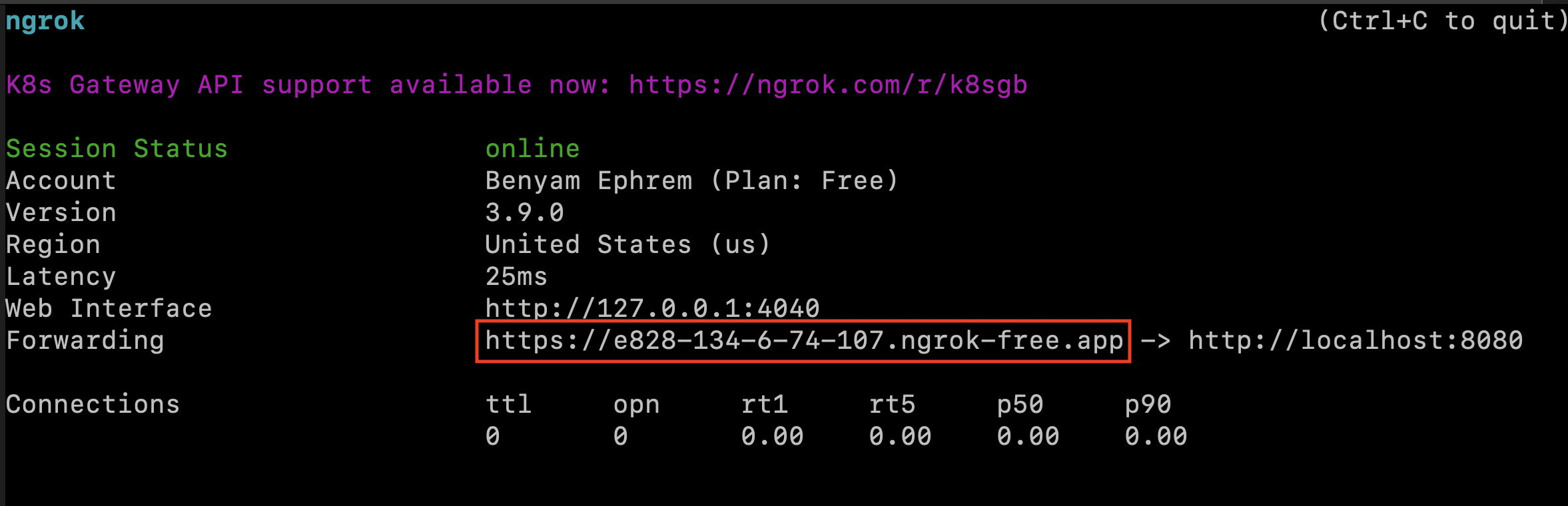 Developing Locally | Vapi