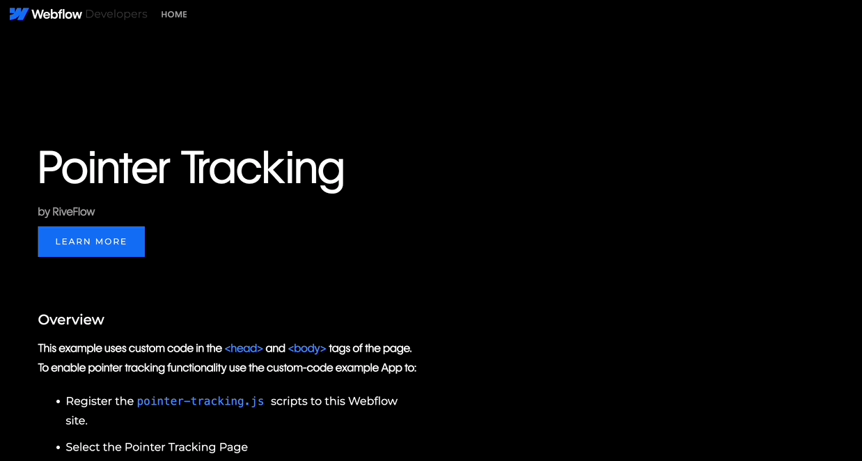 Working with Custom Code | Webflow Developer Documentation