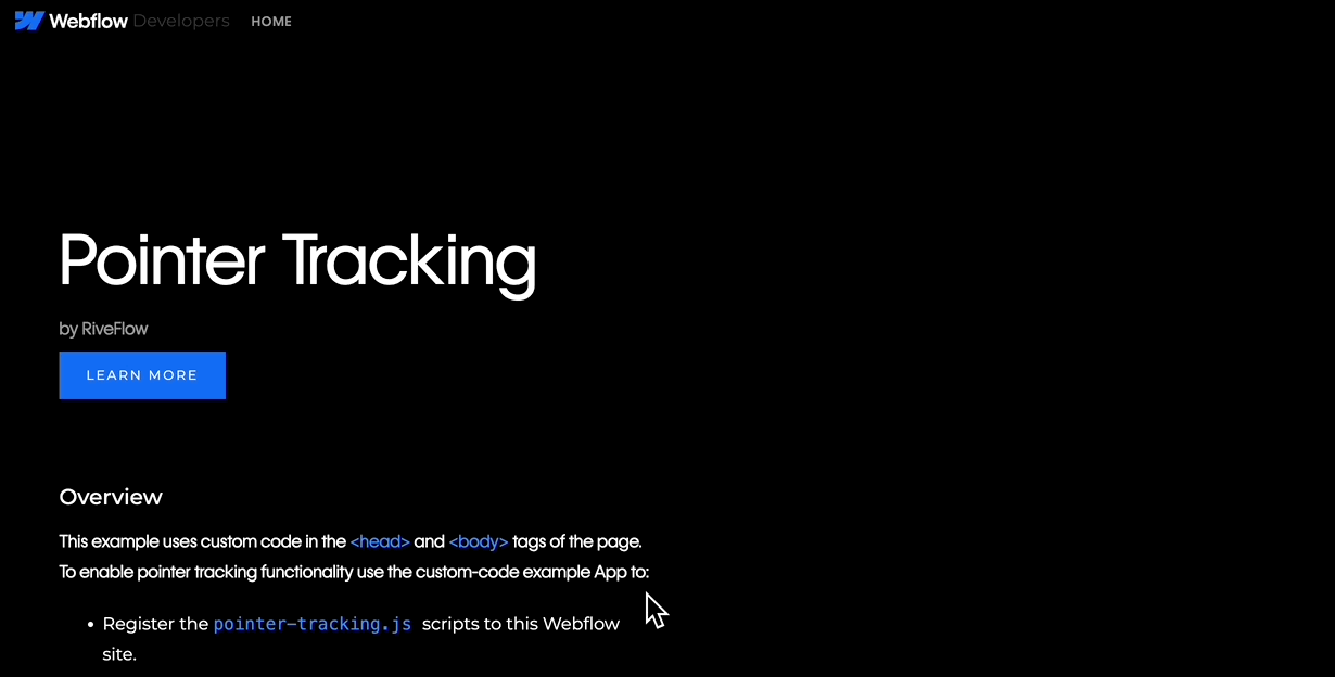 Working with Custom Code | Webflow Developer Documentation